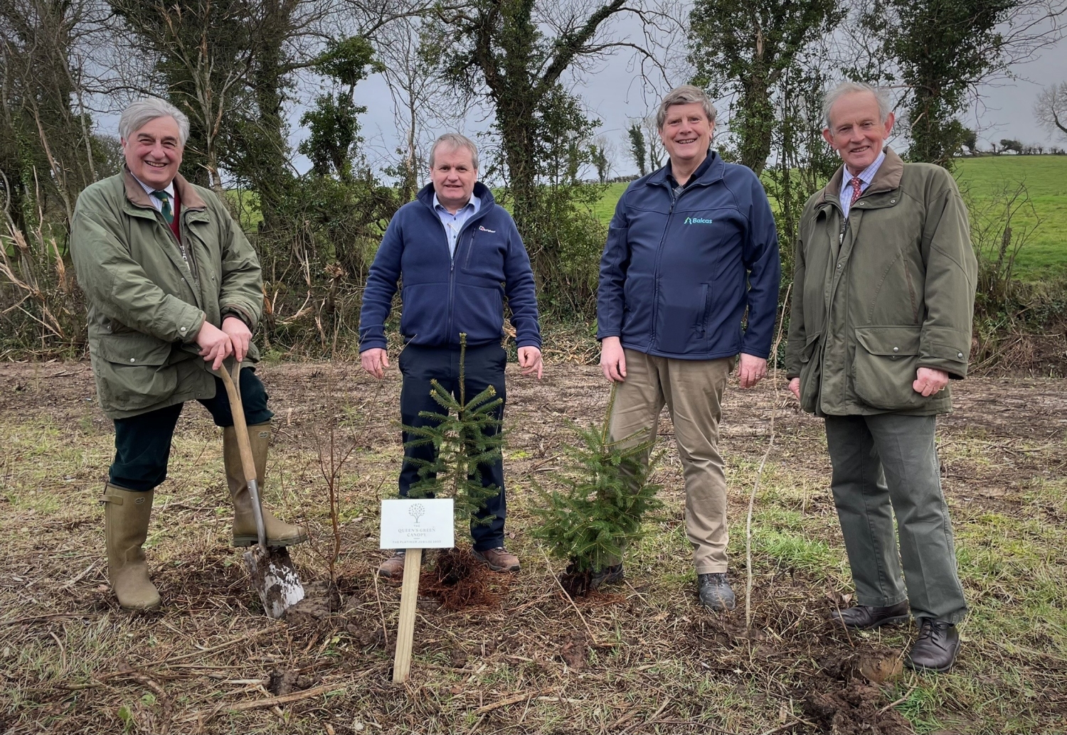 Queen’s Green Canopy Trees Planted At Balcas - Balcas